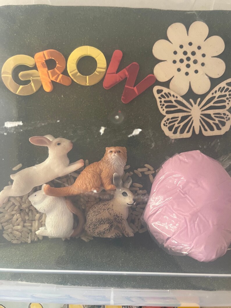 Rabbit Sensorial Bin With Peter Rabbit Book Play Kit Loose Parts Kids ...