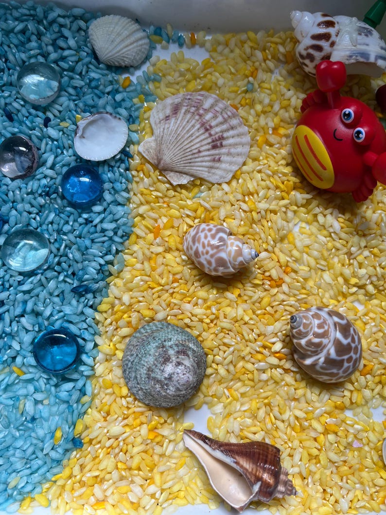 Beach Sensory Bin With Book Educational Sensory Bin Reading Kit Pretend ...