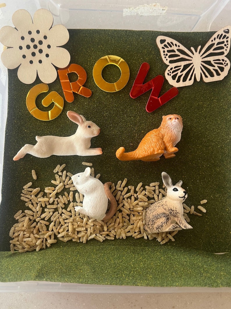 Rabbit Sensorial Bin With Peter Rabbit Book Play Kit Loose Parts Kids ...