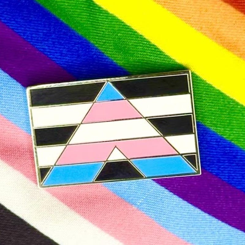 Lgbt Ally Pin - Etsy