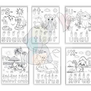 Abc + Sign Toddler Coloring Book, American Sign Language, Alphabet ...