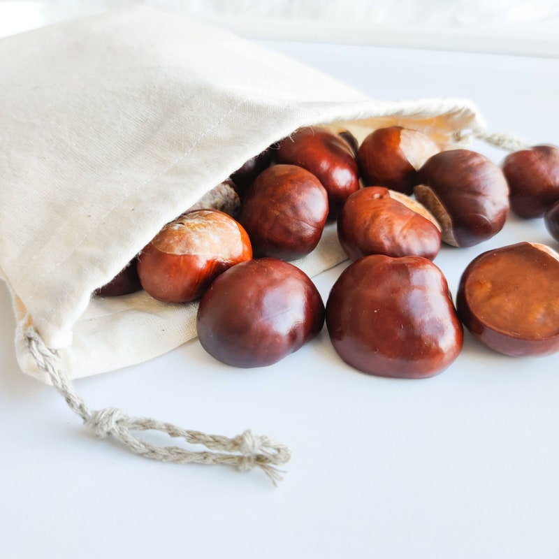 Chestnut Horse Decor - Etsy