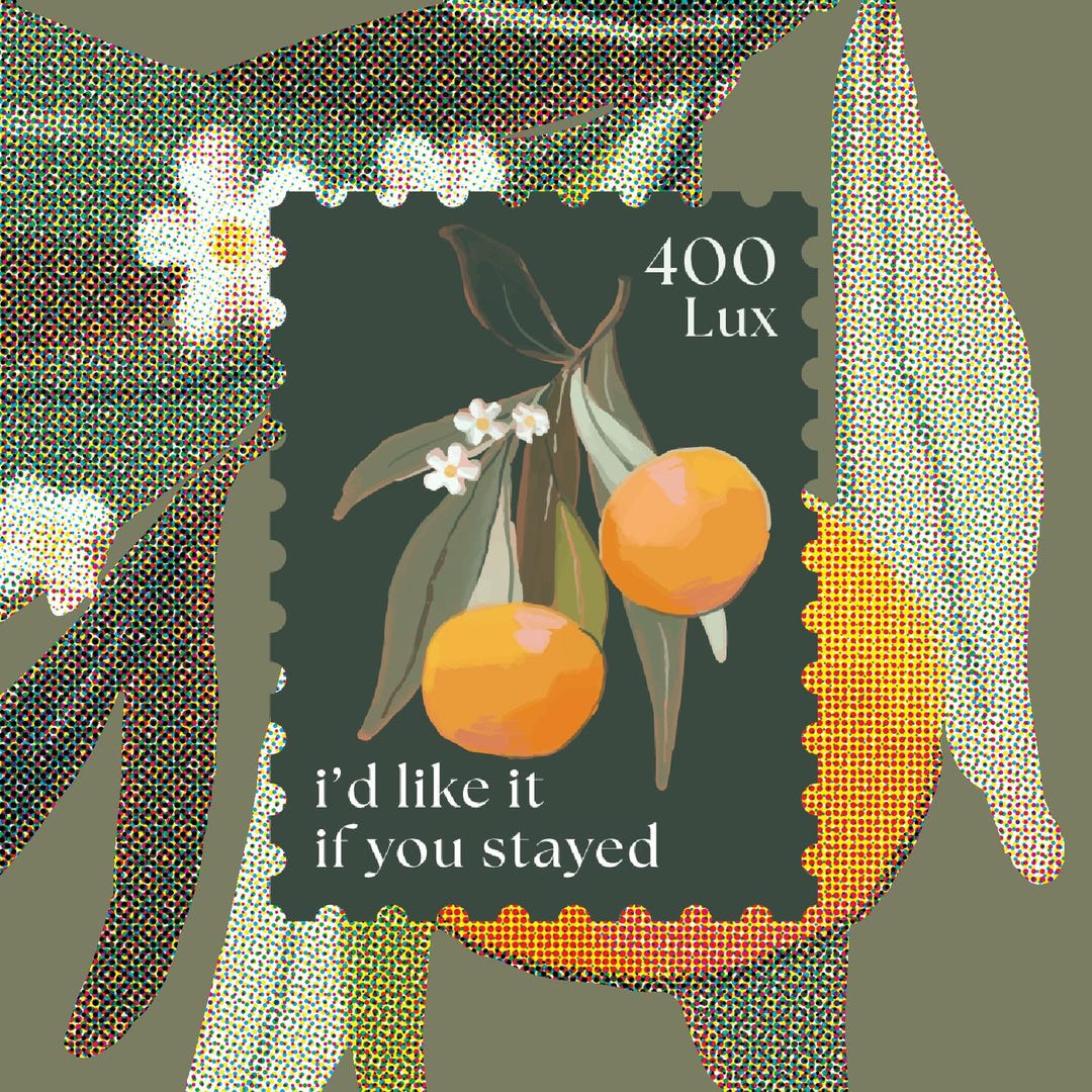 Lorde 400 Lux Sticker - Etsy