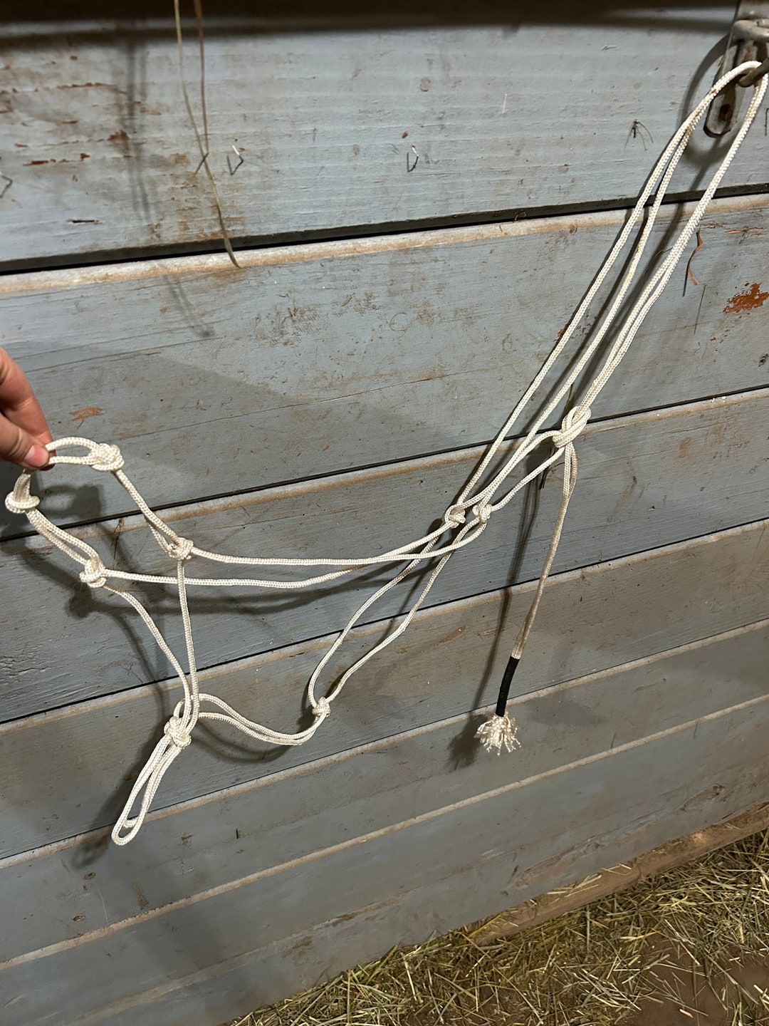 4-knot Rope Halter - Etsy