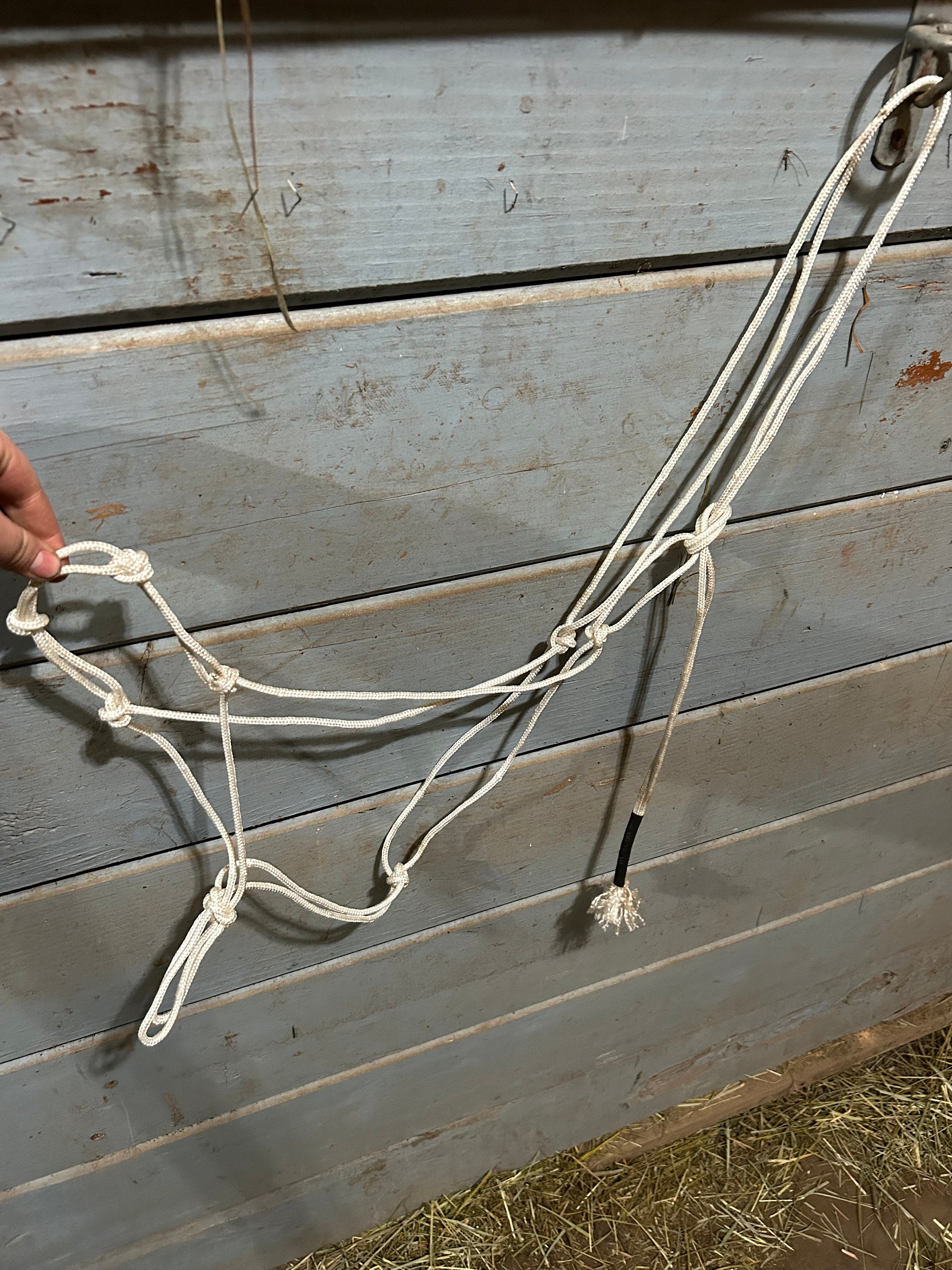 4-knot Rope Halter - Etsy