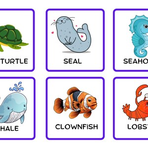Educational Flashcards: Cute Cartoon Sea Animals for Children Aged 3-10 ...