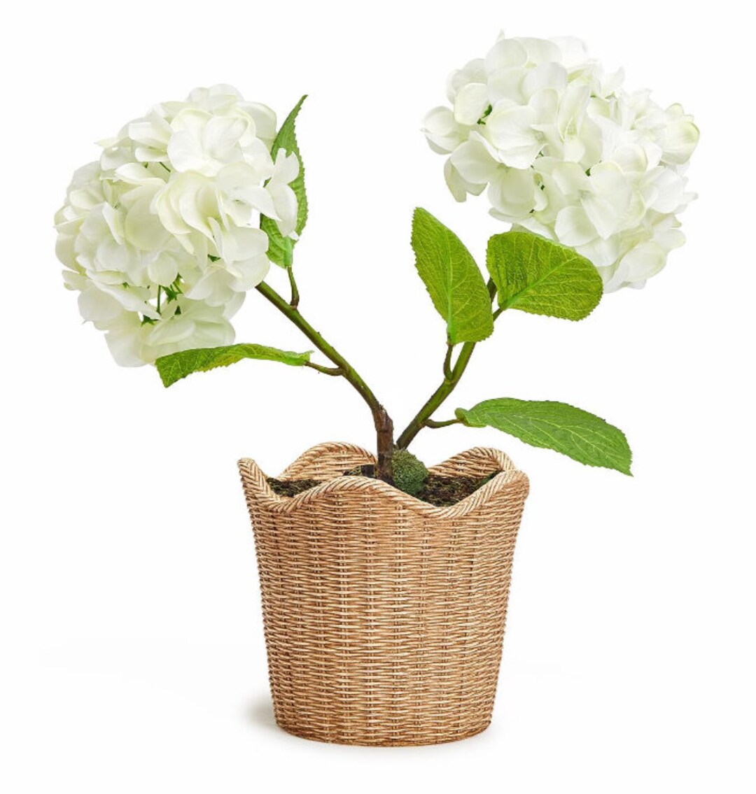 Scalloped Resin Cachepot: Basket Weave Planter, Grandmillennial Decor ...