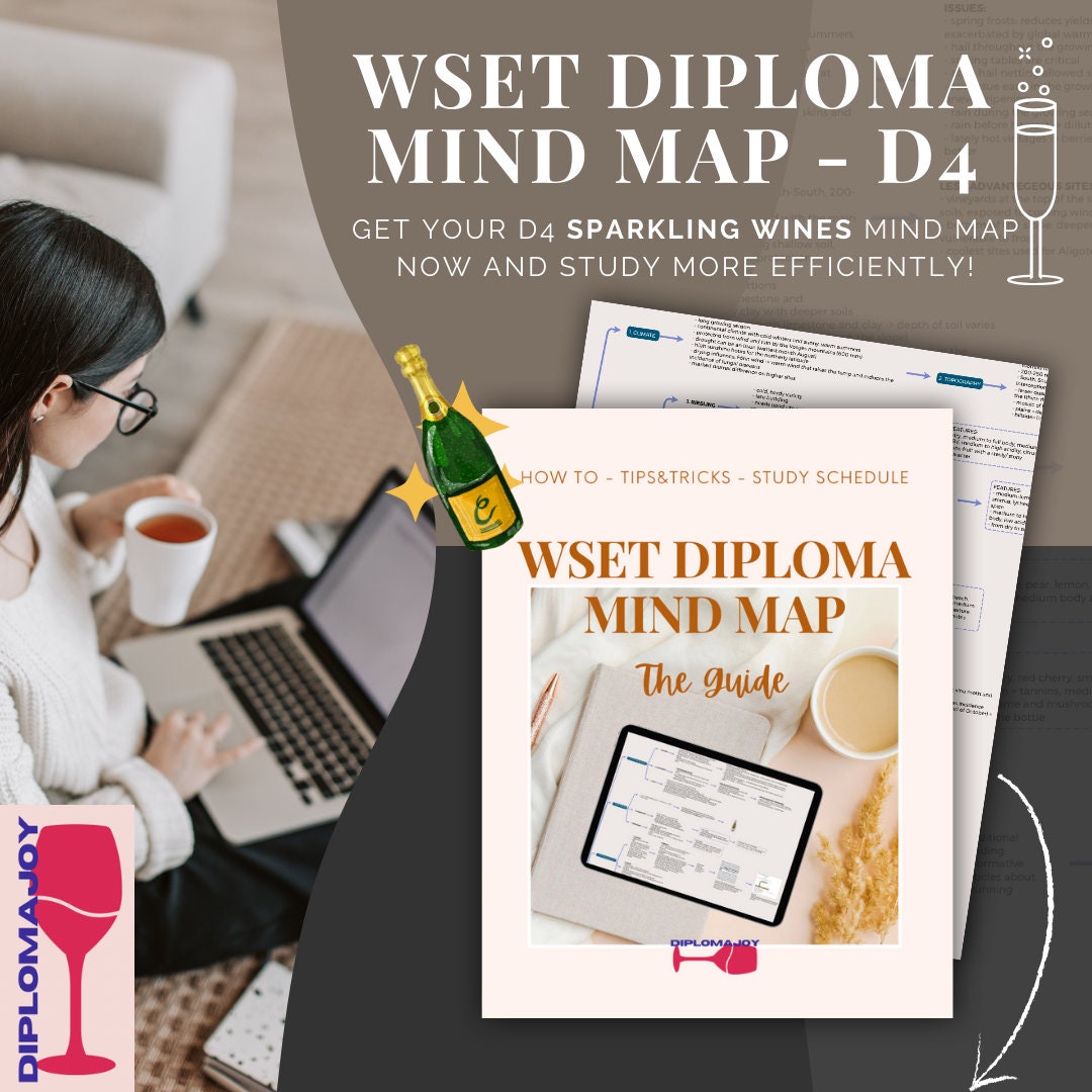 WSET Diploma Resource, Sparkling Wines Mind Map, WSET Level 4, Wset ...