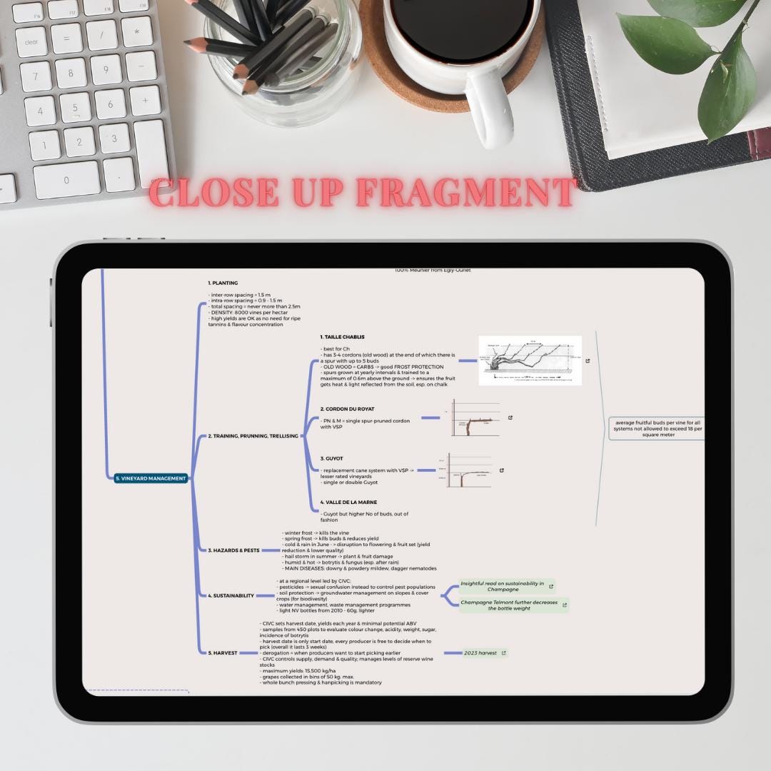 WSET Diploma Resource, Sparkling Wines Mind Map, WSET Level 4, Wset ...