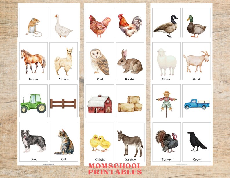Farm Flashcards, Farm Animal Flashcards Language Cards, 3 Part Cards ...