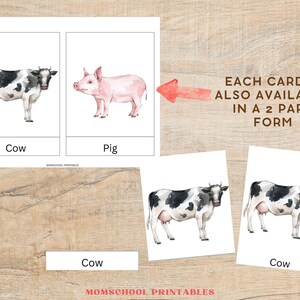 Farm Flashcards, Farm Animal Flashcards Language Cards, 3 Part Cards ...