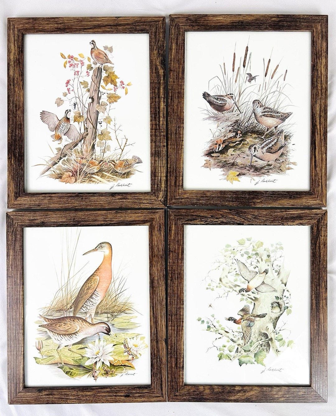 Vintage James Lockhart Set of 4 Framed Wildlife Bird Prints - Etsy