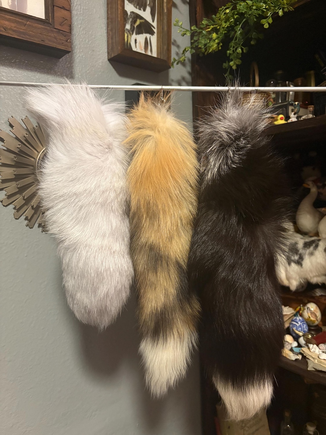 Taxidermy Fox Tails | Therian Fox Tails | Taxidermy Tails - Etsy