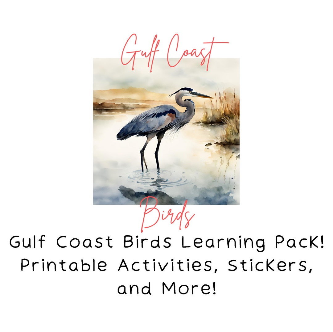 Birds of the Gulf Coast Printable Nature Journal Unit Study Homeschool ...