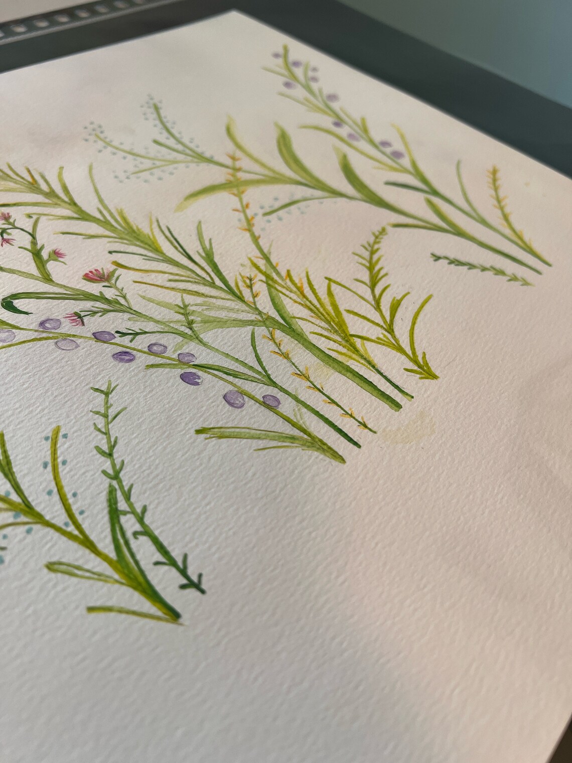 Handpainted Watercolor Floral Stems, Perfect for a Gift! - Etsy