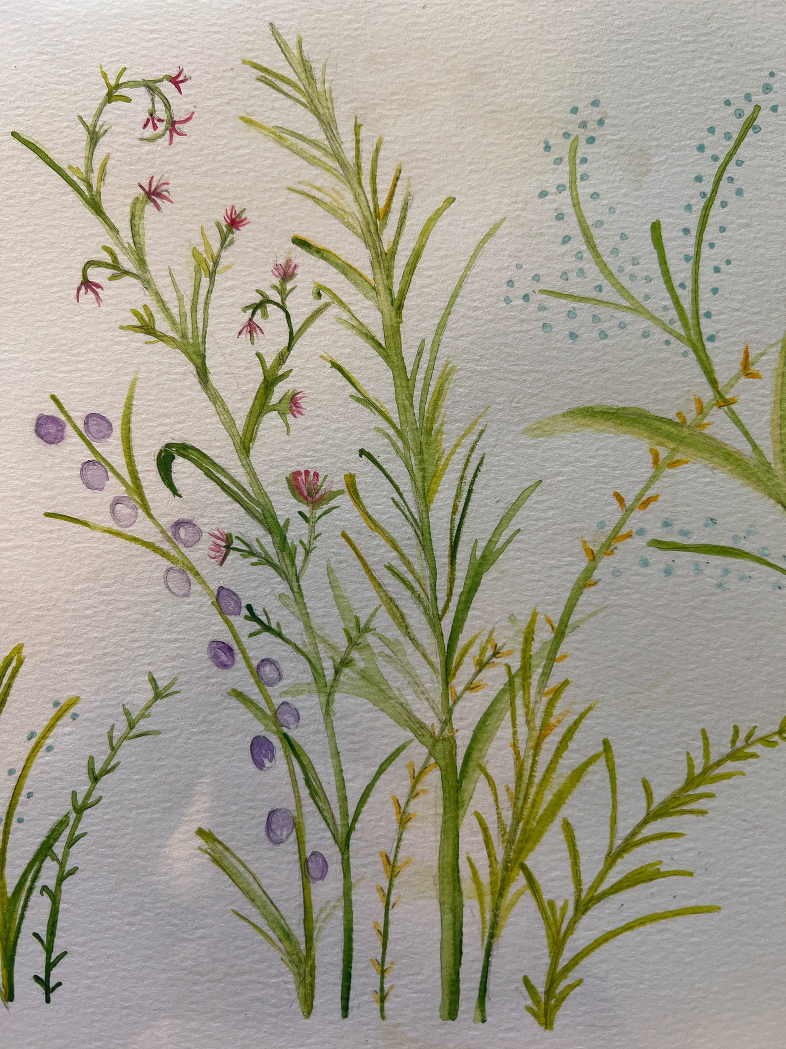 Handpainted Watercolor Floral Stems, Perfect for a Gift! - Etsy