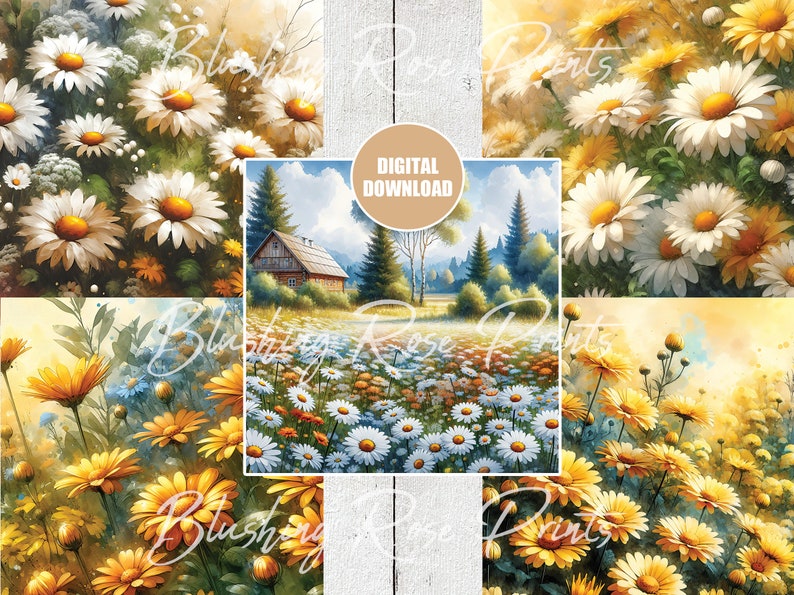 Daisy Backgrounds Digital Paper White Daisies Yellow Daisies Orange ...