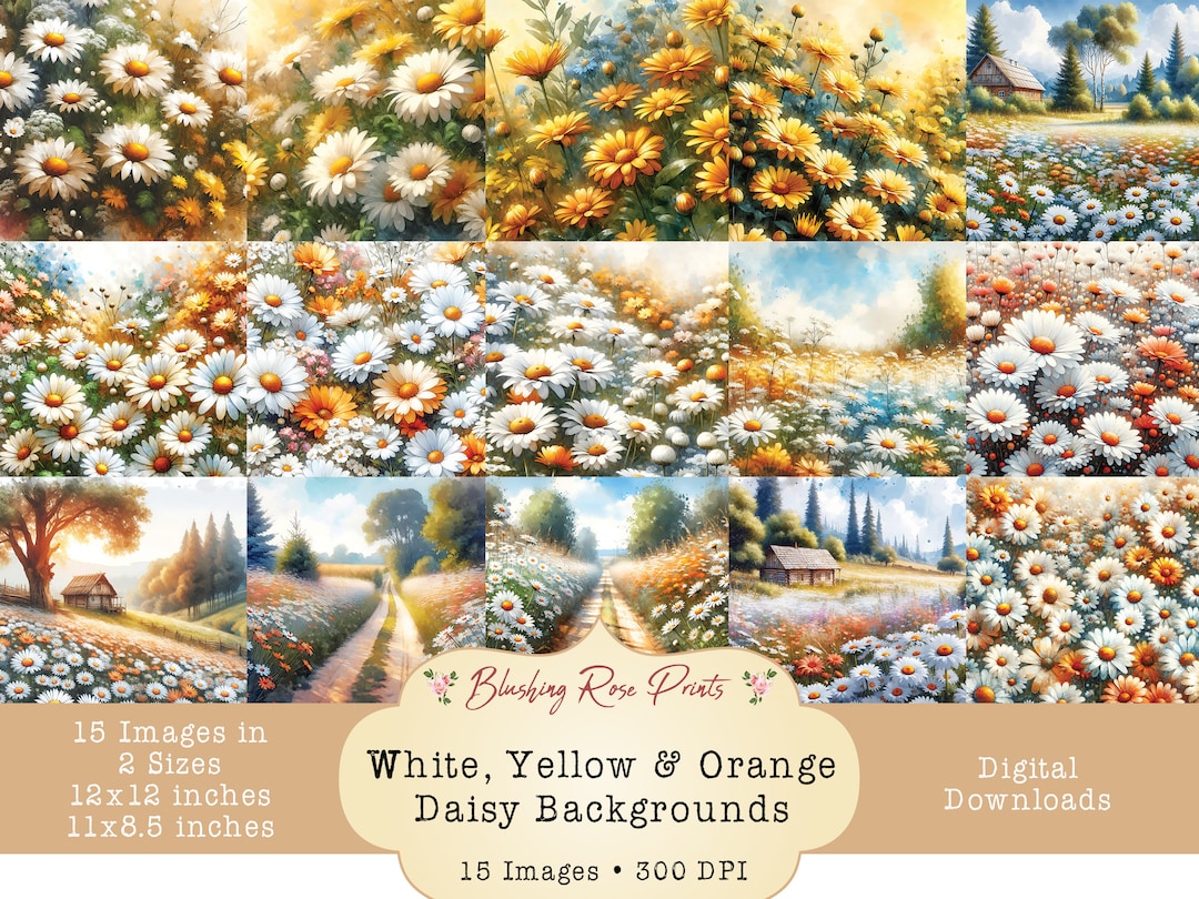 Daisy Backgrounds Digital Paper White Daisies Yellow Daisies Orange ...