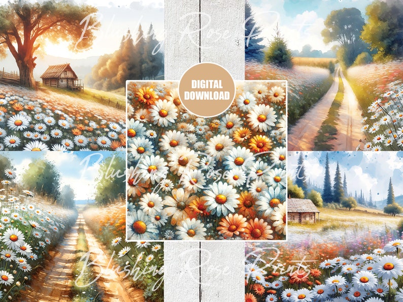 Daisy Backgrounds Digital Paper White Daisies Yellow Daisies Orange ...