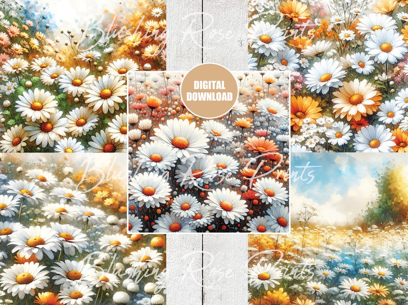 Daisy Backgrounds Digital Paper White Daisies Yellow Daisies Orange ...