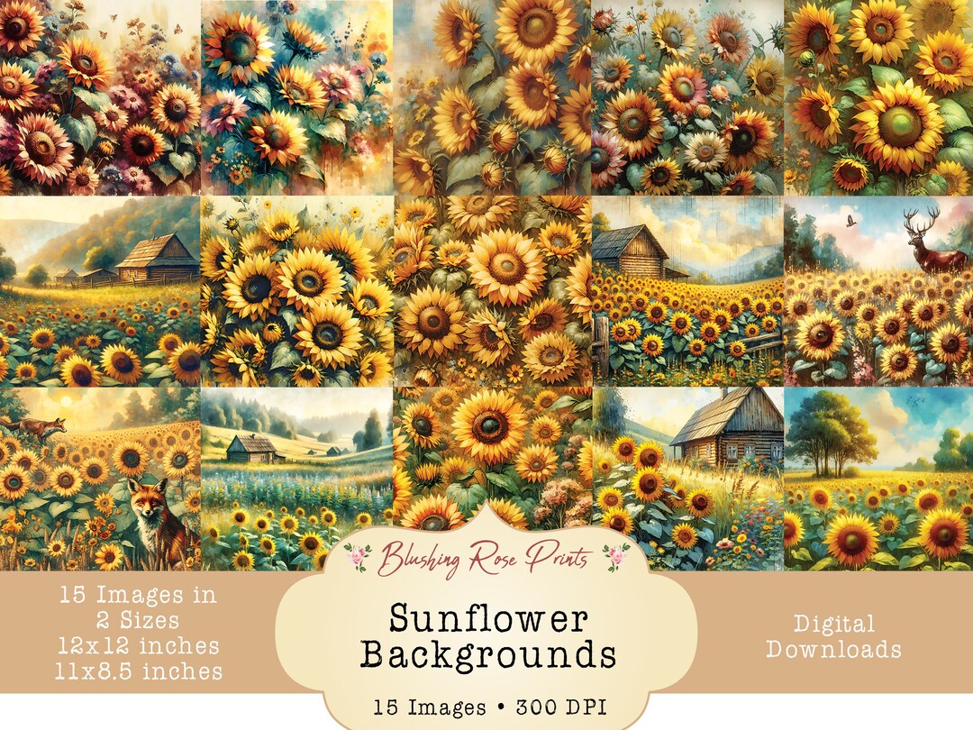 Sunflower Backgrounds Digital Paper Pack, Printables, Digital Paper ...