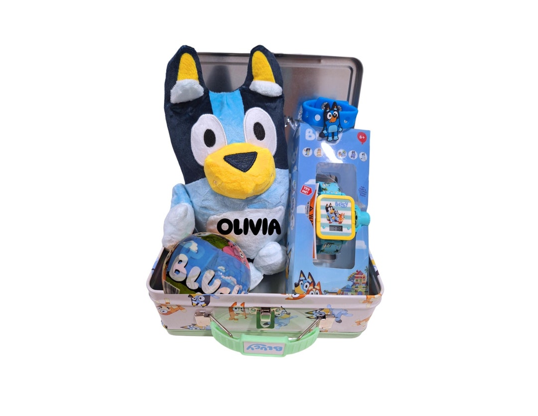 Custom Bluey Bingo Gift Basket, Personalized Plushie Birthday ...