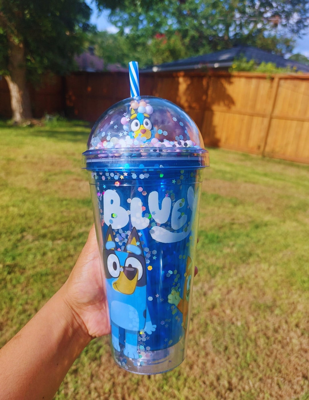 Bluey Cup Tumbler, Bingo 18oz Light up Party Cups, Back to School Theme ...