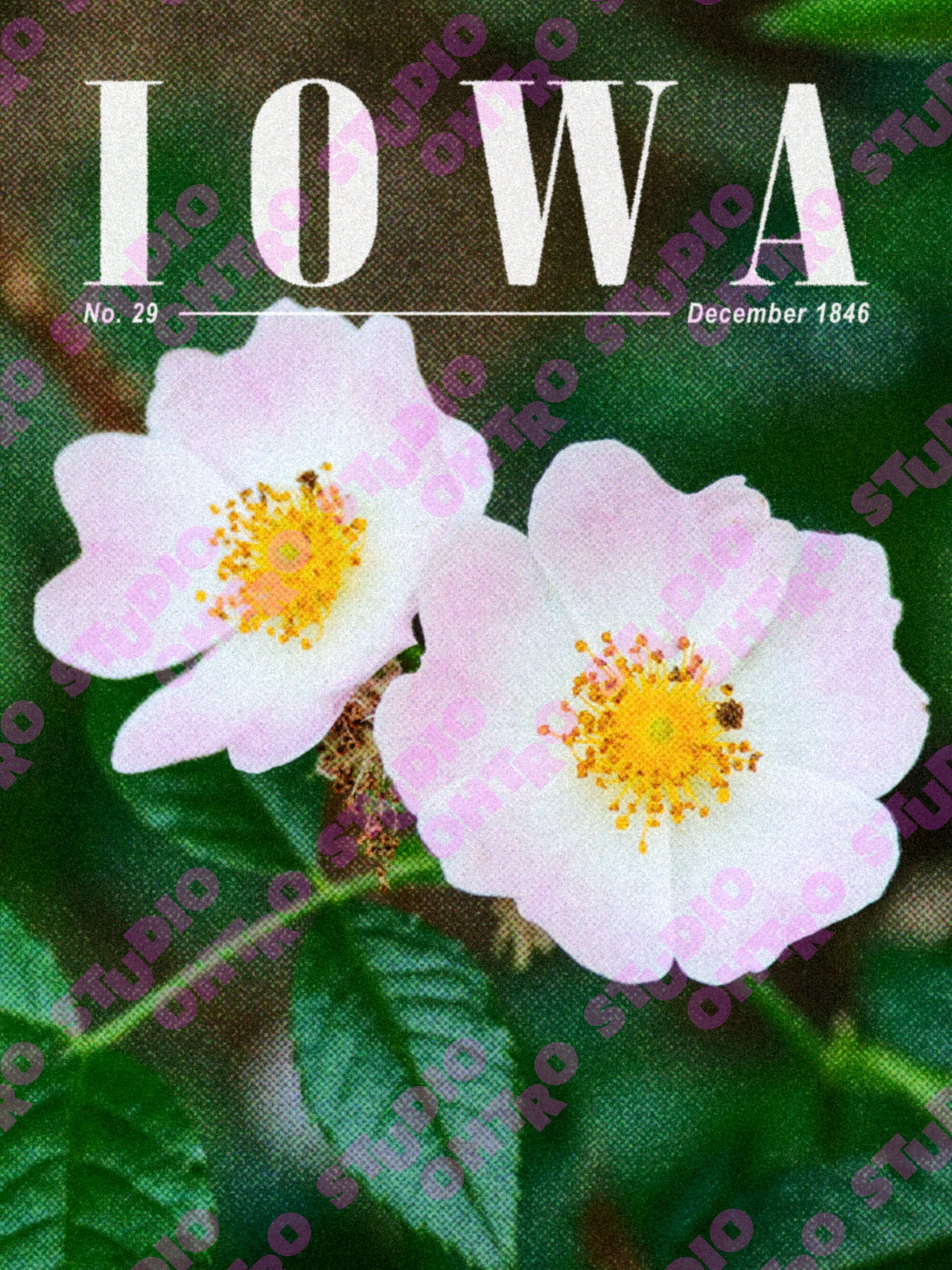 Vintage Digital Art Print, 90's Aesthetic, Iowa State Flower, Wild Rose ...
