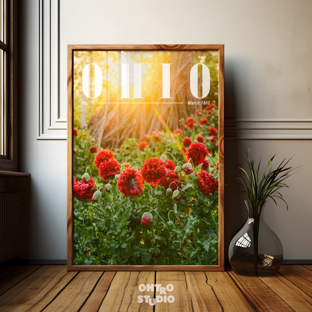 Vintage Digital Art Print, 90's Aesthetic, Ohio State Flower, Scarlet ...