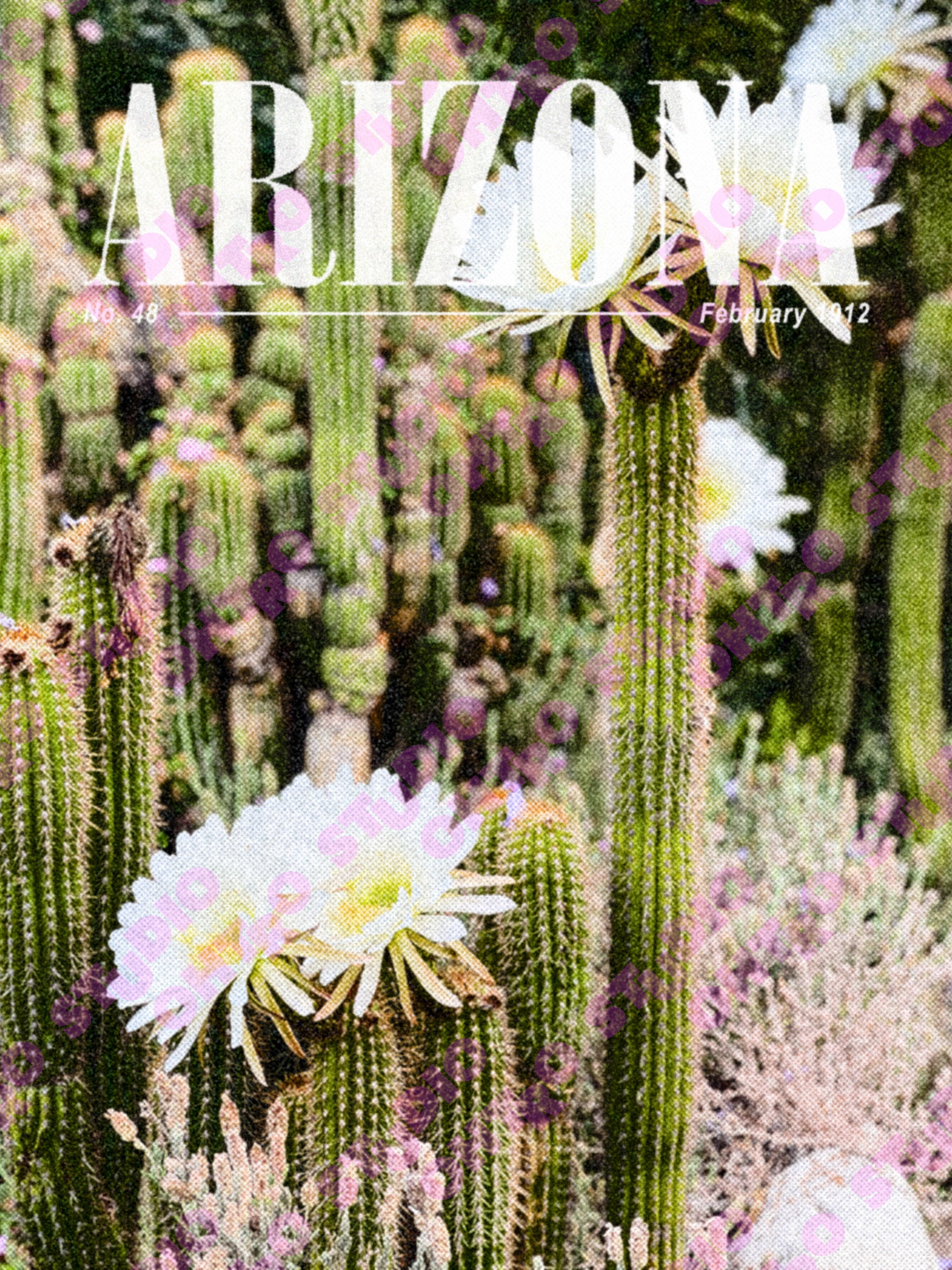 Vintage Digital Art Print, 90's Aesthetic, Arizona State Flower ...