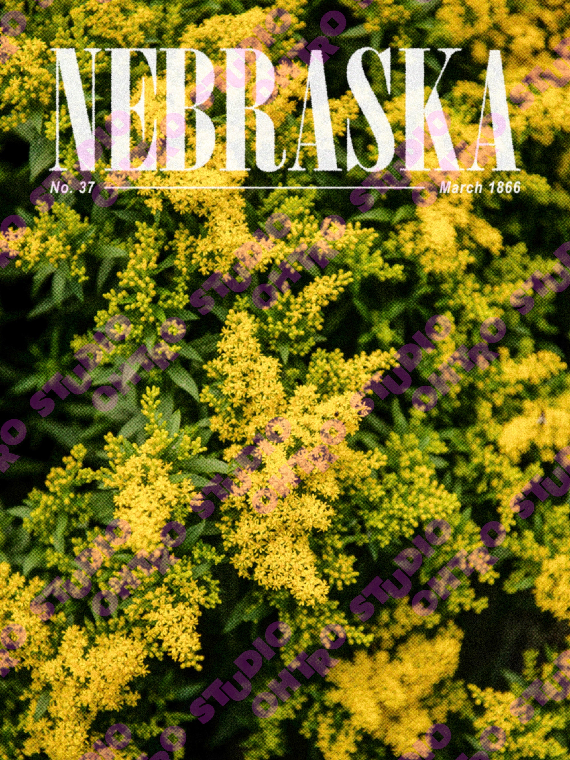 Vintage Digital Art Print, 90's Aesthetic, Nebraska State Flower ...