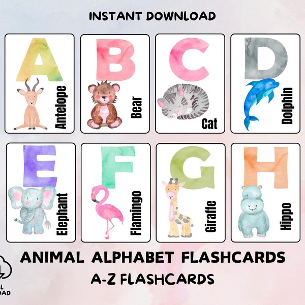 Alphabet Flashcards - Etsy