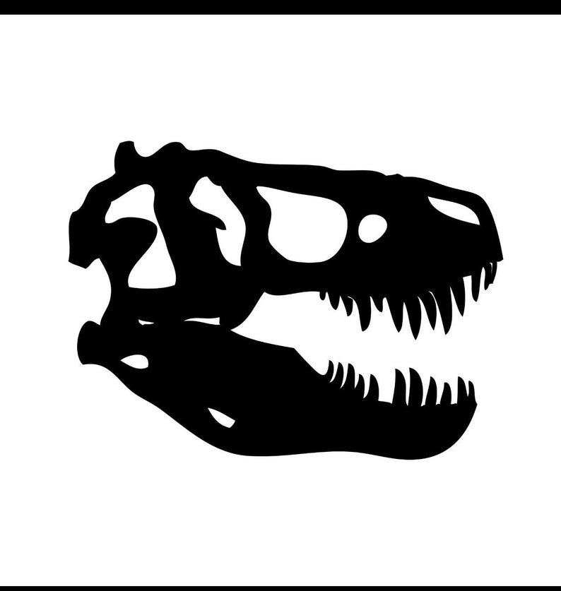 Dinosaur Fossil Decal - Etsy