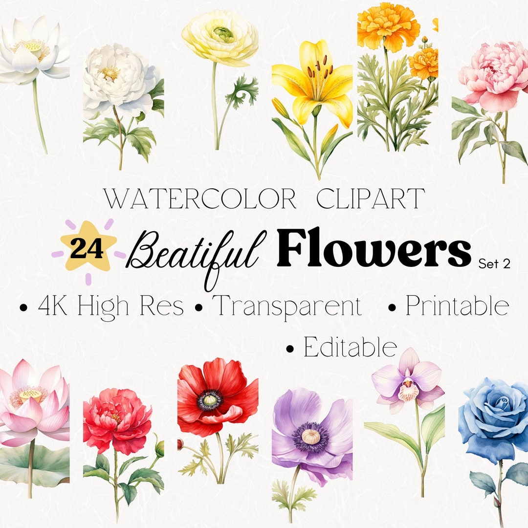 Watercolor Wildflower Clipart,printable Floral PNG Designs for Nursery ...