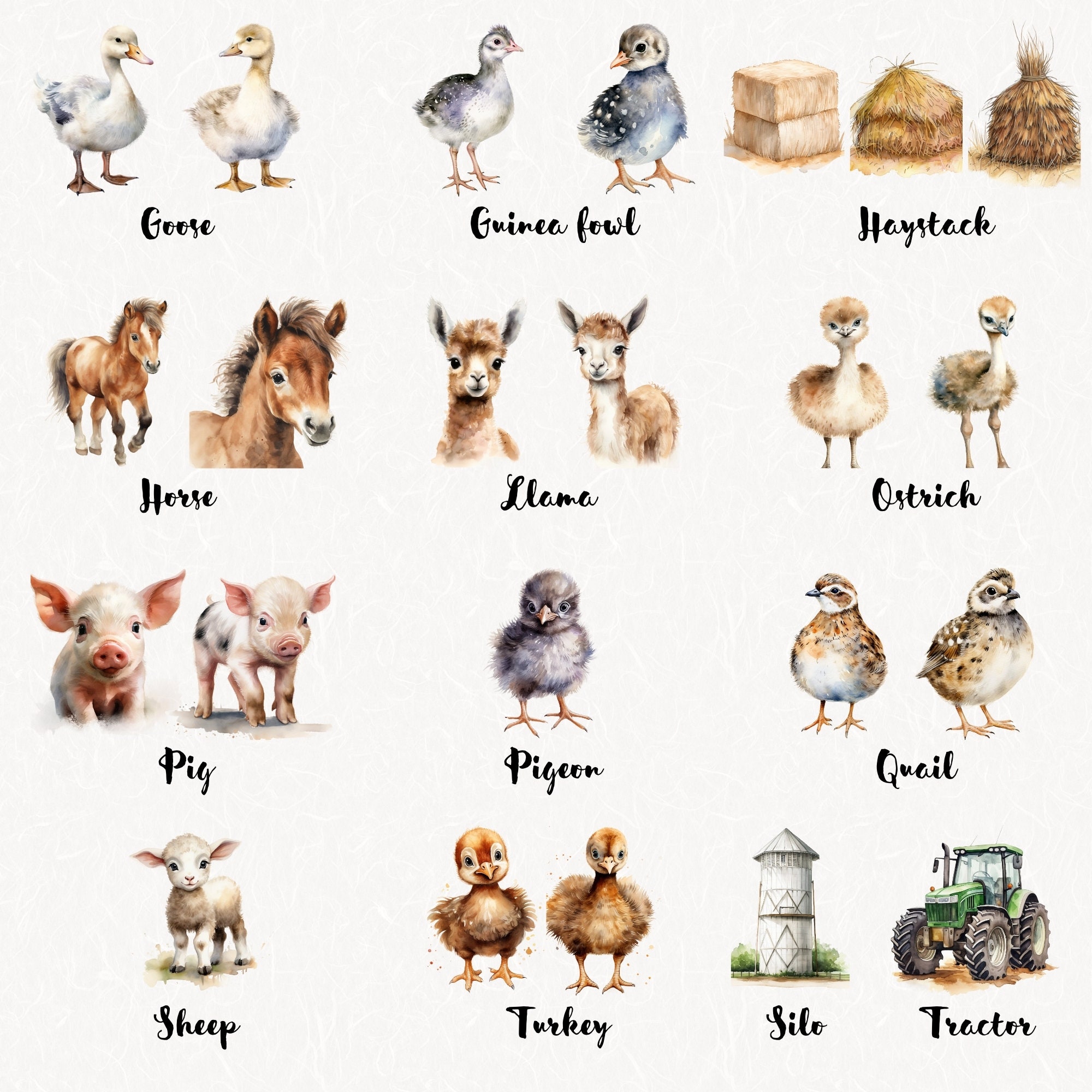 Farm Animals Clipart Watercolor, Clipart for Commercial Use ...