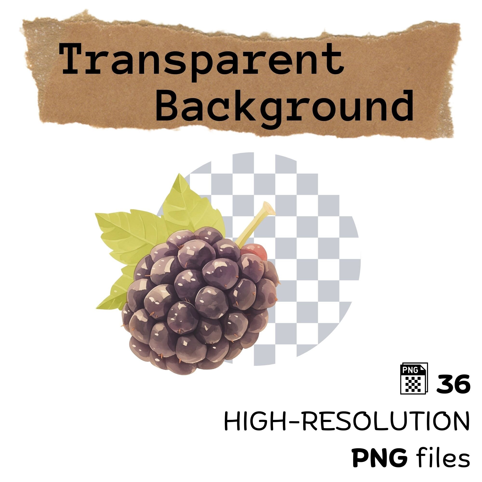 Colorful Fruit Clipart Set Kitchen Png Fruits Collection Clipart ...