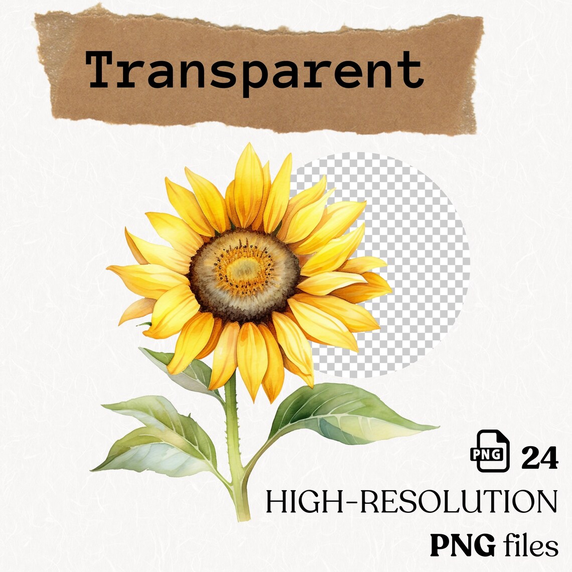 Watercolor Wildflower Clipart, Floral PNG Designs for Nursery Art ...