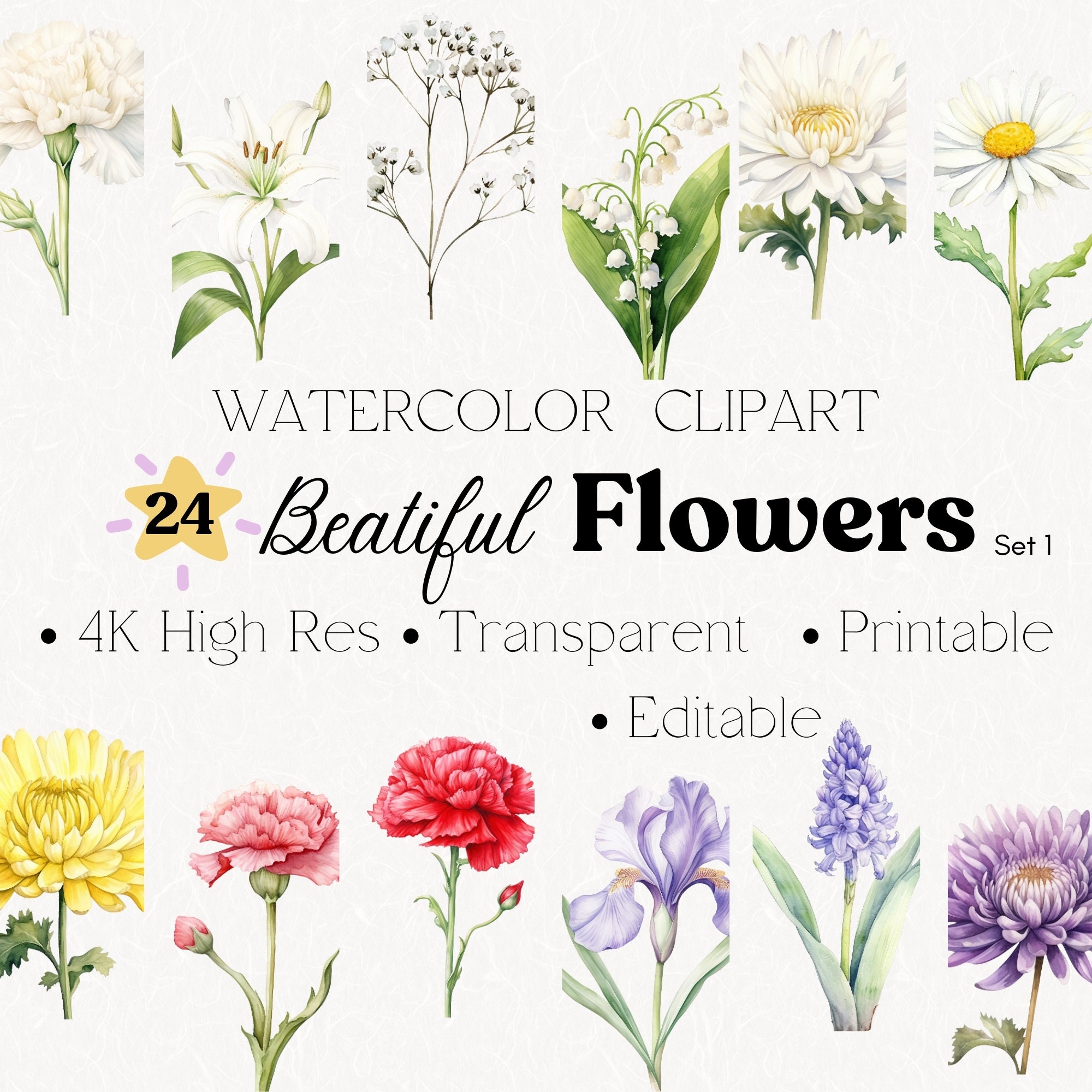 Watercolor Wildflower Clipart, Printable Floral PNG Files for Nursery ...