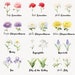 Watercolor Wildflower Clipart, Floral PNG Designs, Digital Flowers ...