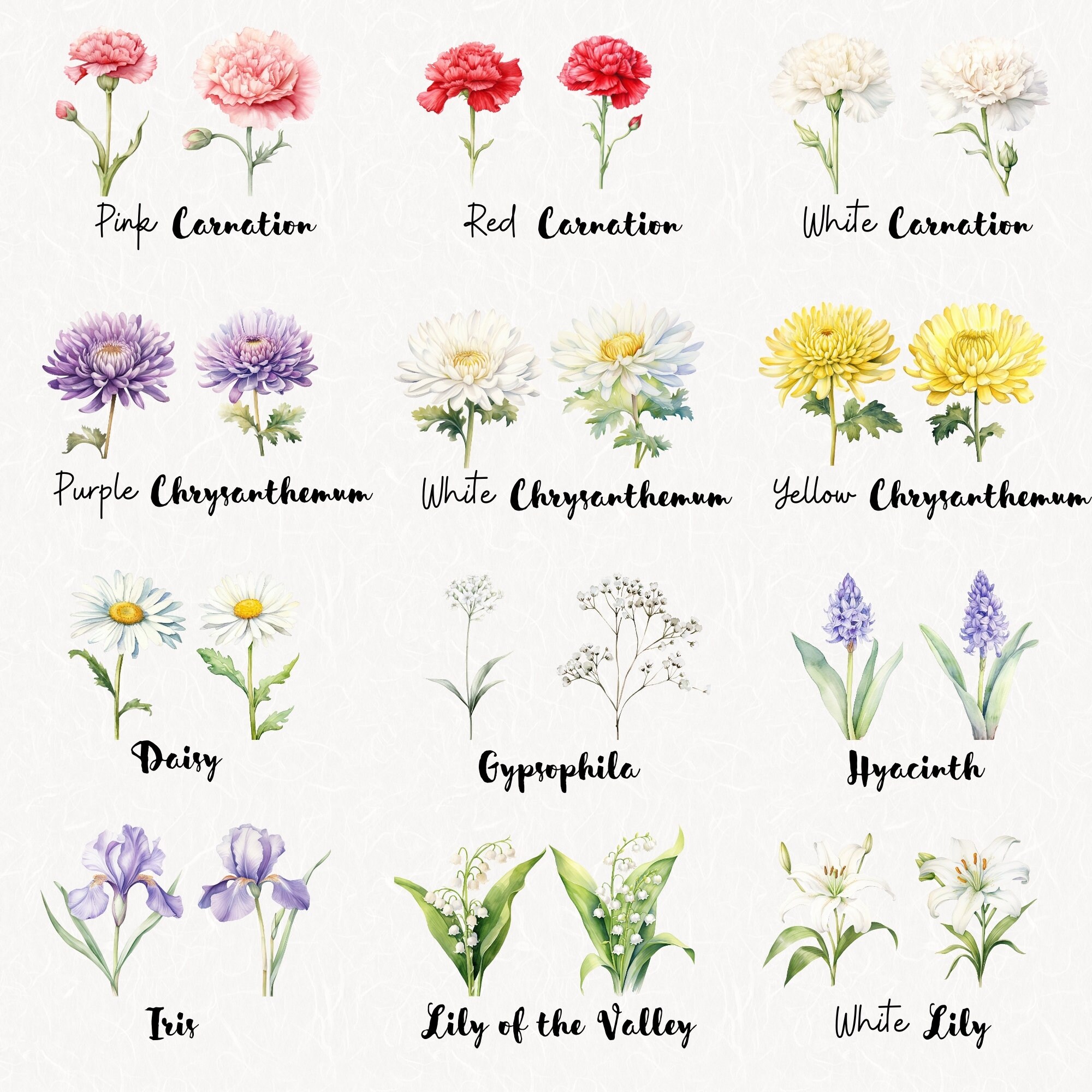 Watercolor Wildflower Clipart, Floral PNG Designs, Digital Flowers ...