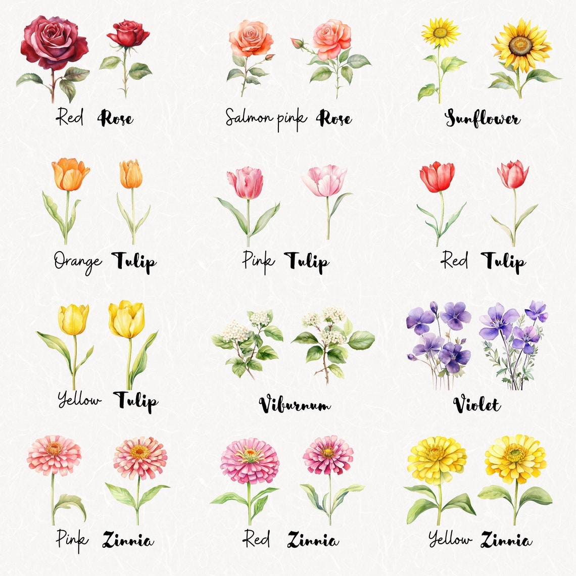 Watercolor Wildflower Clipart, Floral PNG Designs for Nursery Art ...