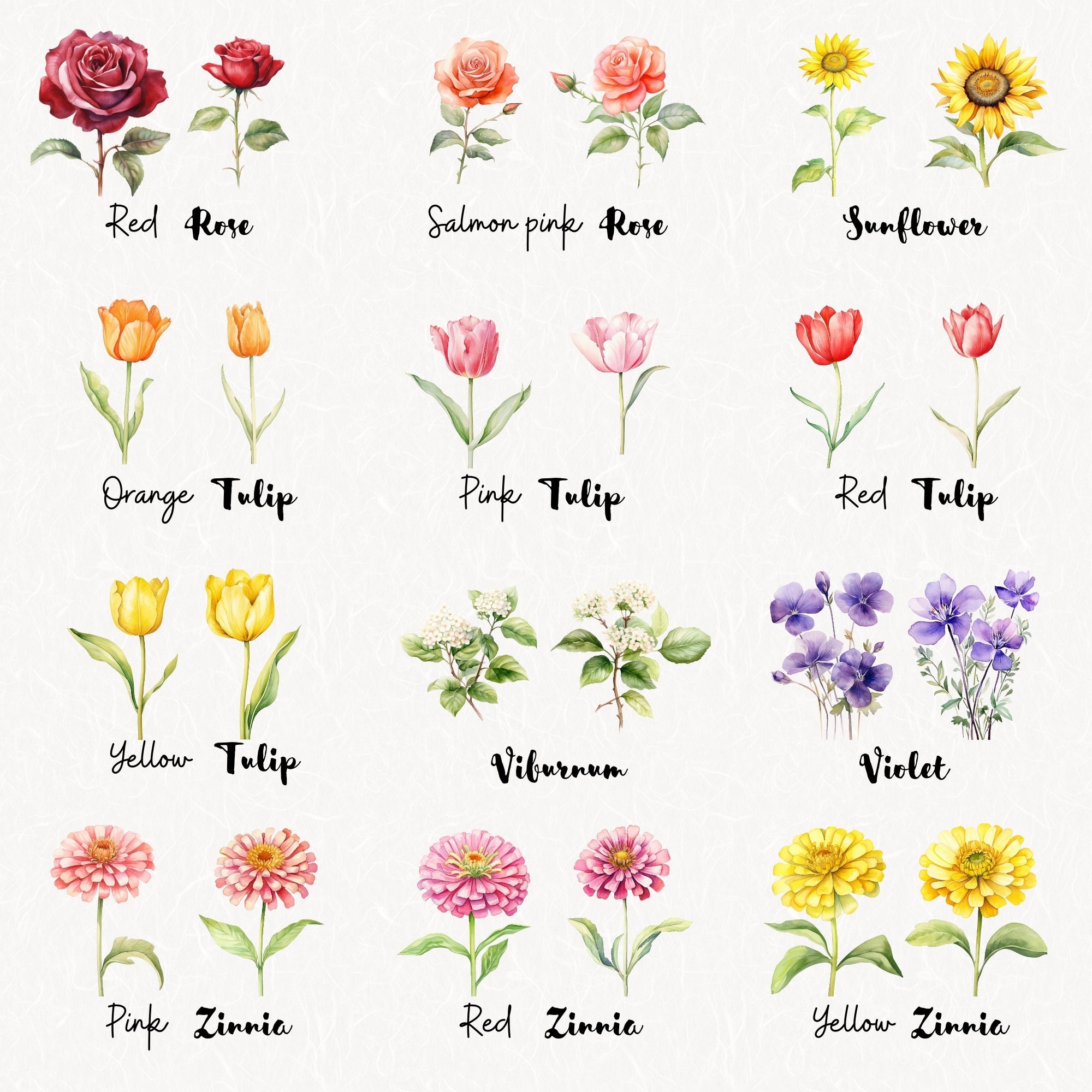 Watercolor Wildflower Clipart, Floral PNG Designs for Nursery Art ...