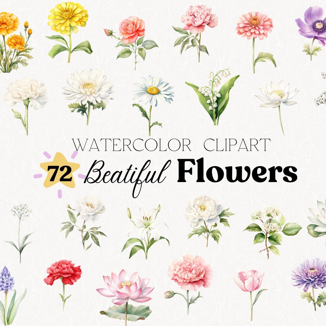 Watercolor Wildflower Clipart, Floral PNG Designs, Digital Flowers ...