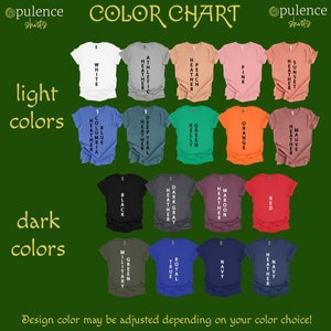 Retro I Got 99 Problems Shirt, Cat Grocery Shopping T-shirt, Funny T ...