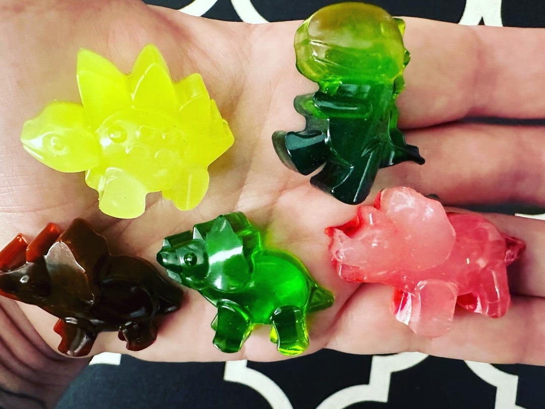 Handcrafted Resin Pocket Dino - Etsy