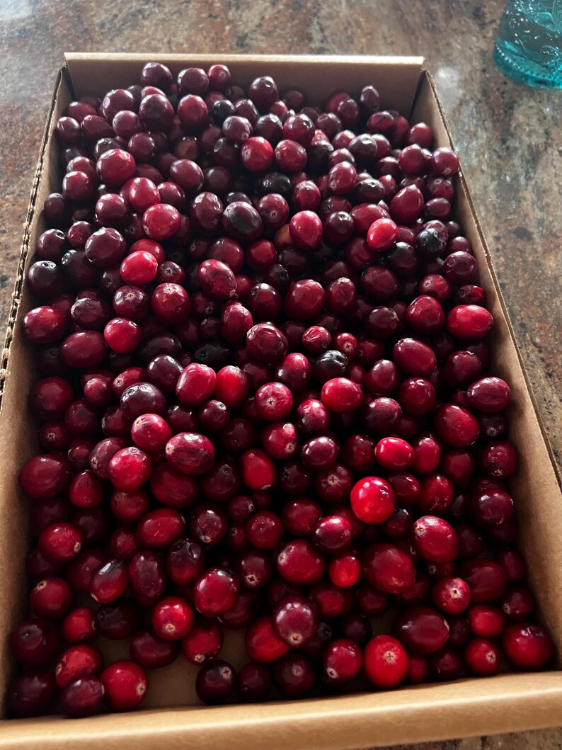 Organic Country Cranberry Sauce - Etsy