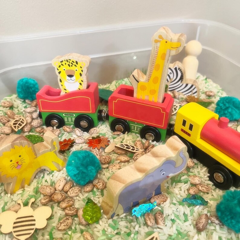 Jungle Train Sensory Kit - Etsy