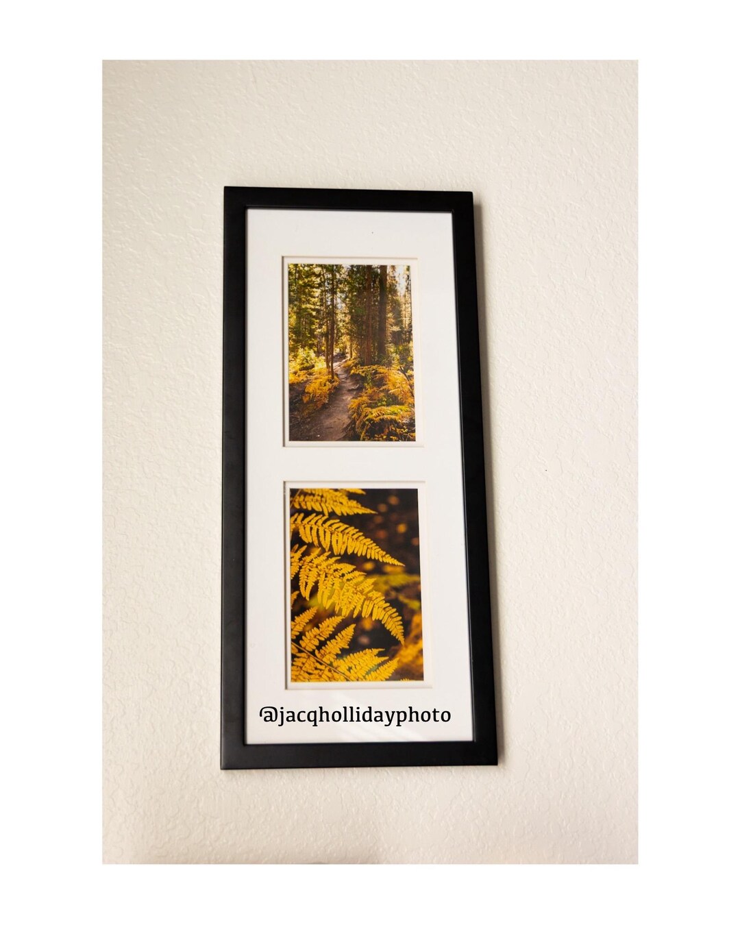Print | Picture Frame | Colorado | Steamboat Springs | Trail ...