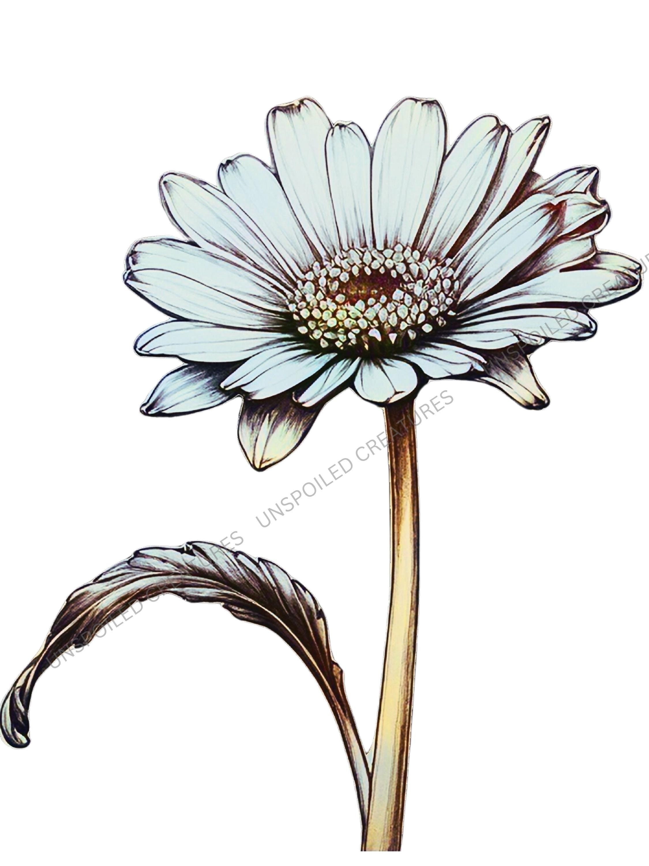 Pastel Blue Daisy Clip Art Digital Download, Hi Resolution SVG/ PNG ...