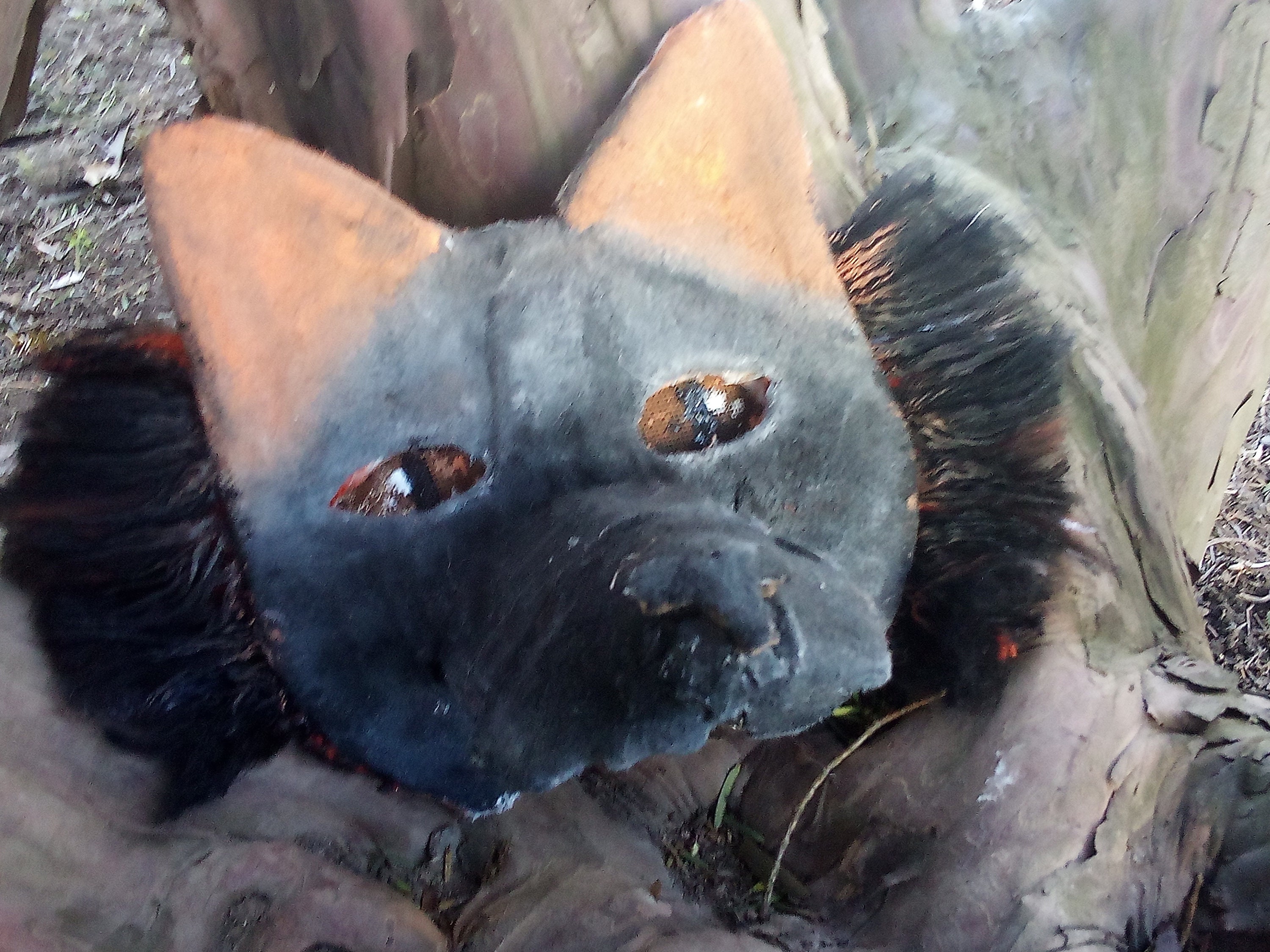 Cross Fox Therian Mask - Etsy Australia